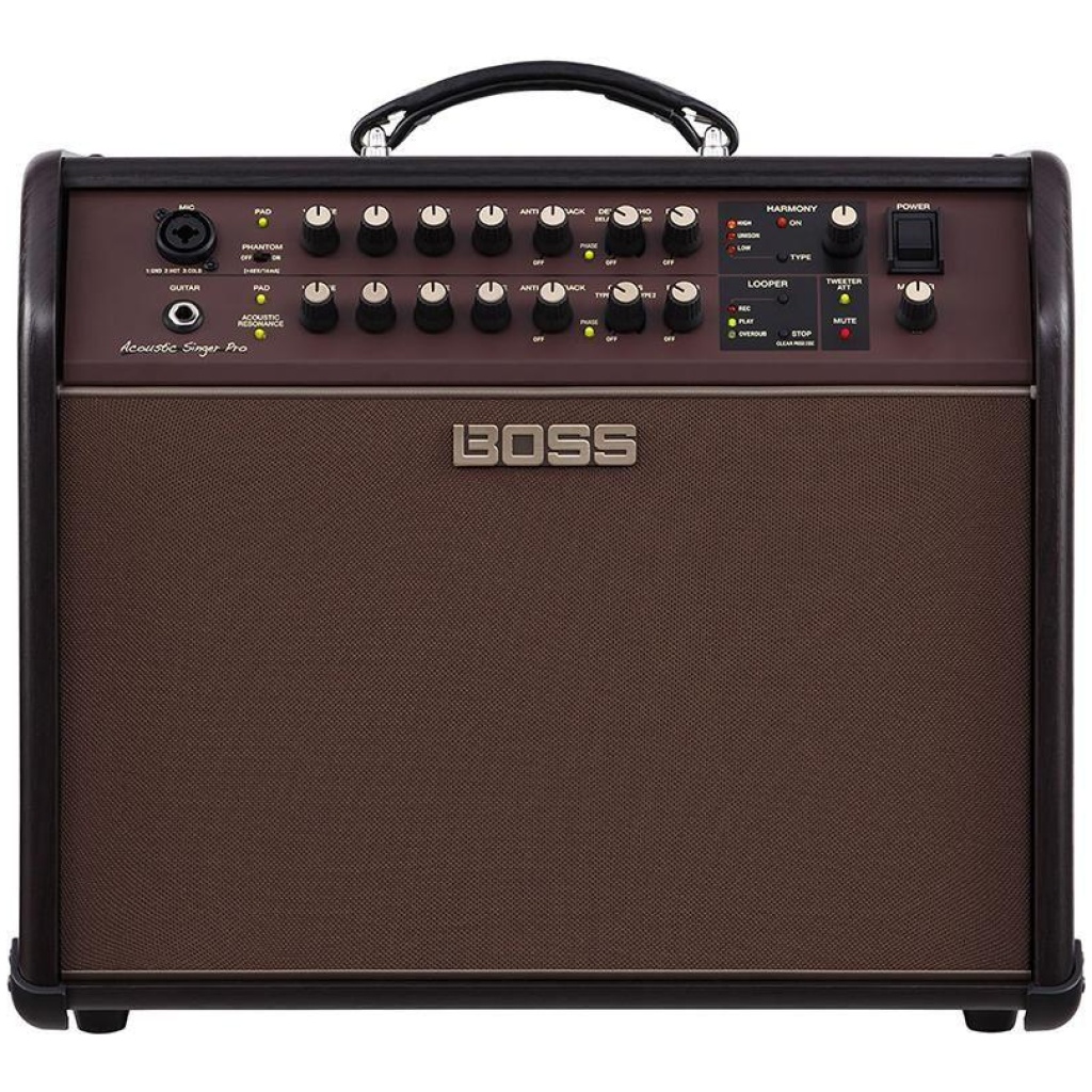 Boss ACS-PRO ACOUSTIC SINGER PRO – World Music Supply
