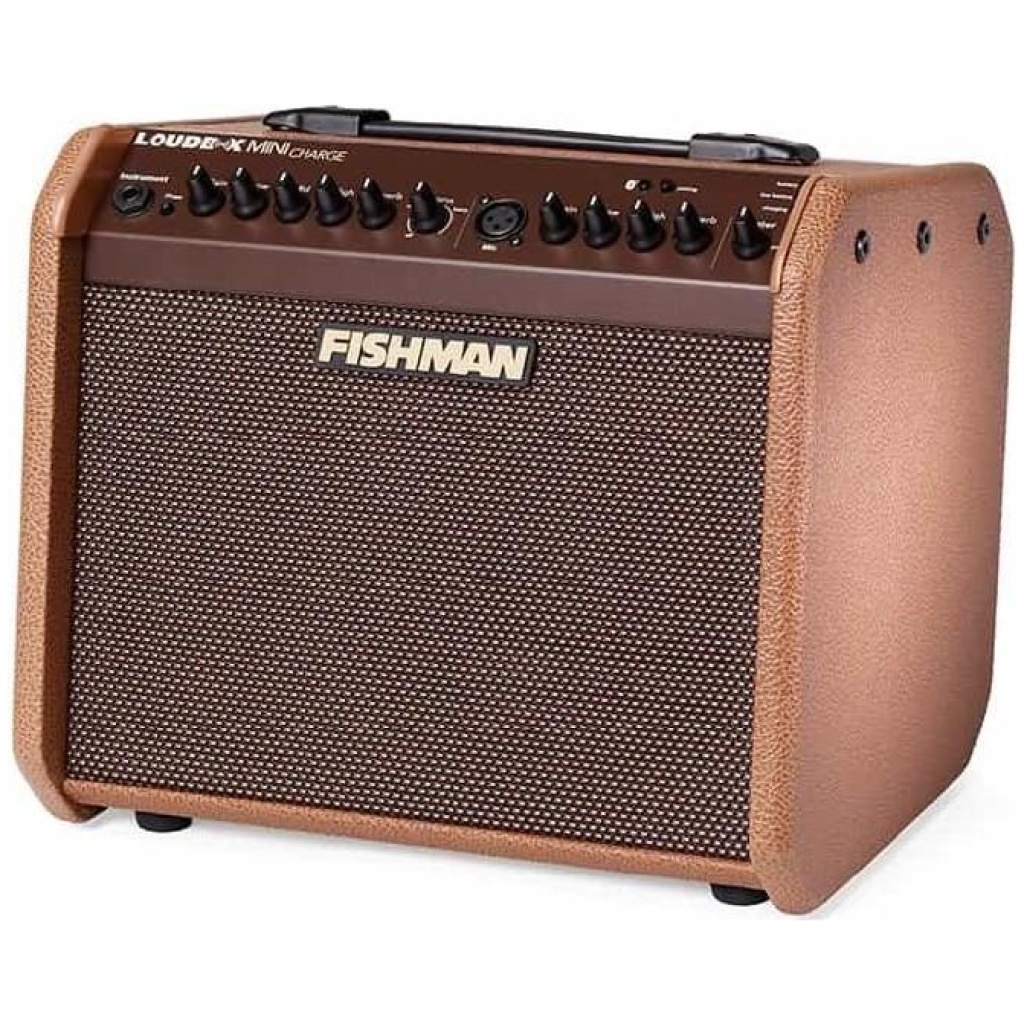 Fishman PRO-LBC-500 Loudbox Mini Charge 60 Watt Battery Powered ...